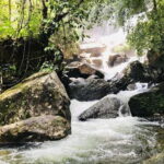 From Galle/Weligama/Mirissa/Matara: Day Trip to Sinharaja - What Makes This Tour Special