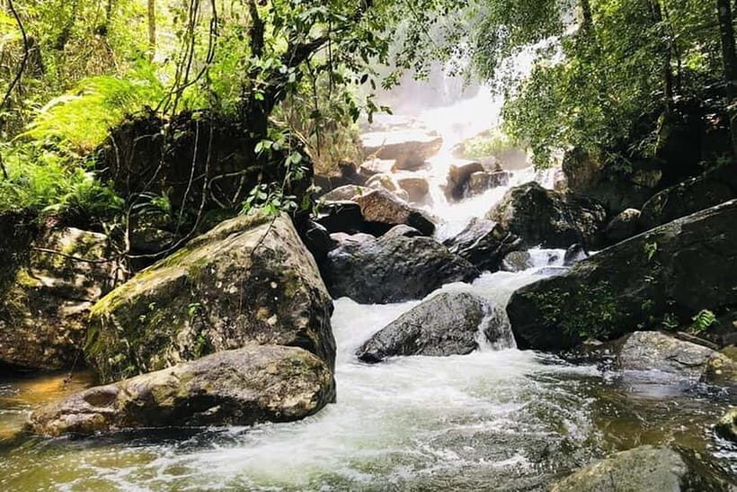From Galle/Weligama/Mirissa/Matara: Day Trip to Sinharaja - What Makes This Tour Special
