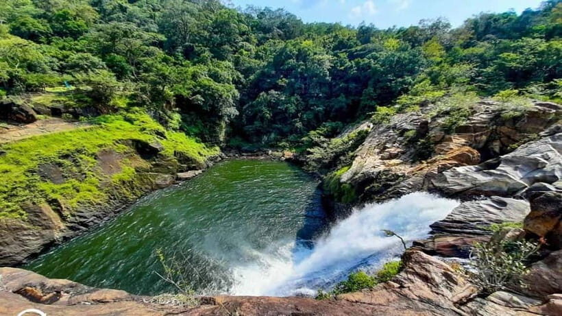 From Galle/Weligama/Mirissa/Matara: Day Trip to Sinharaja - Evaluating the Value