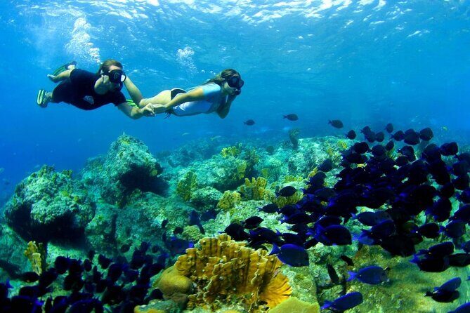 From Gili Trawangan: Island Hopping Snorkeling Trip - A Closer Look at the Itinerary