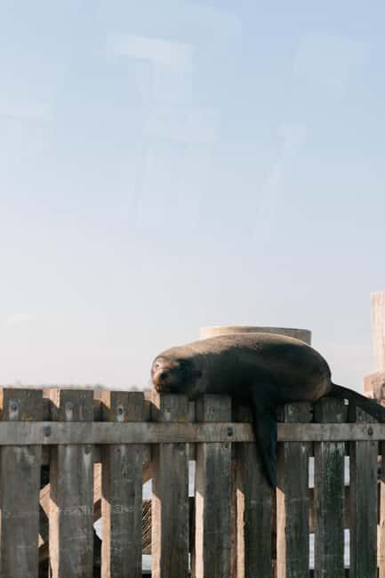 From Goolwa: Half-Day Coorong Experience - Who Will Love This Experience?