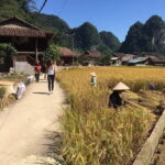 From Ha Noi: 3 Day 2 Night - Cao Bang Loop to Ba Be Lake - What to Expect from the Tour
