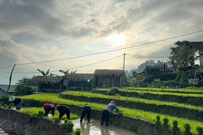 From Ha Noi: 3 Days and 2 Nights Sapa Trek with Local Guide - The Sum Up: Is This Tour Right for You?