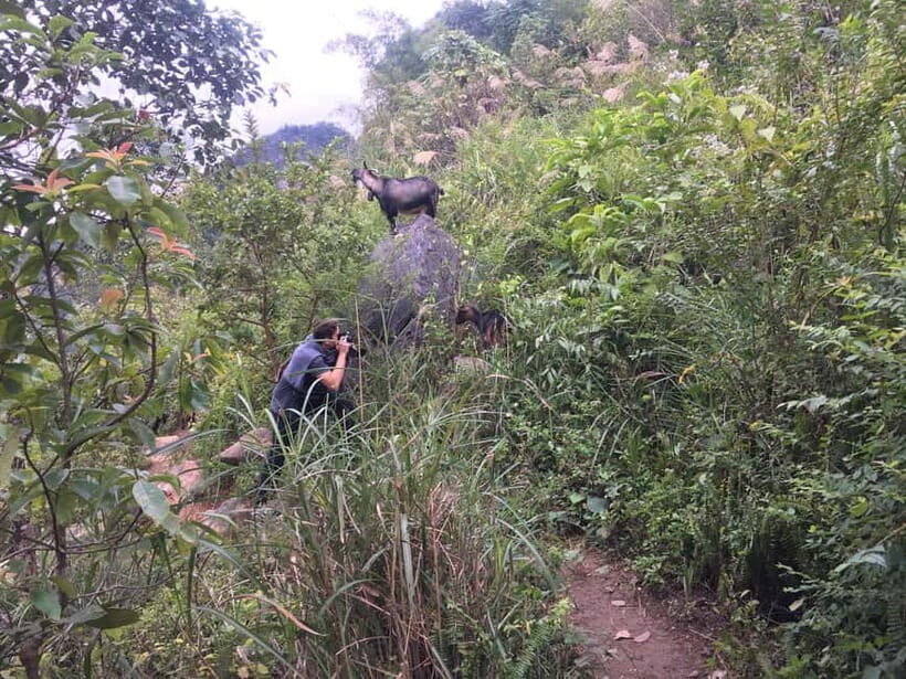 From Ha Noi: Cao Bang Loop Trekking Tour : 2 Day 1 Night - In The Sum Up