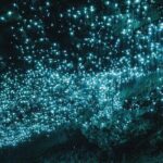 From Hamilton: Waitomo Glowworm & Cave Explorer Small Group Tour - FAQs