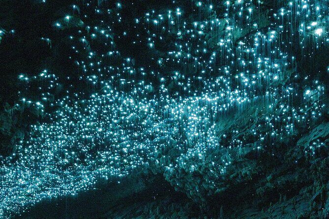 From Hamilton: Waitomo Glowworm & Cave Explorer Small Group Tour - FAQs