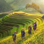 From Hanoi: 2-Day Luxury Sapa Trekking Tour with Homestay - The Journey from Hanoi to Sapa