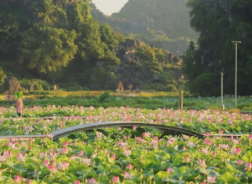 From Hanoi: 2-Day Ninh Binh Nature & Culture Explorer - What Makes This Tour Stand Out?