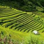 From Hanoi: 2-Days Sapa Trekking Tour Lao Chai and Cat Cat - Authenticity, Value, and Authentic Experiences