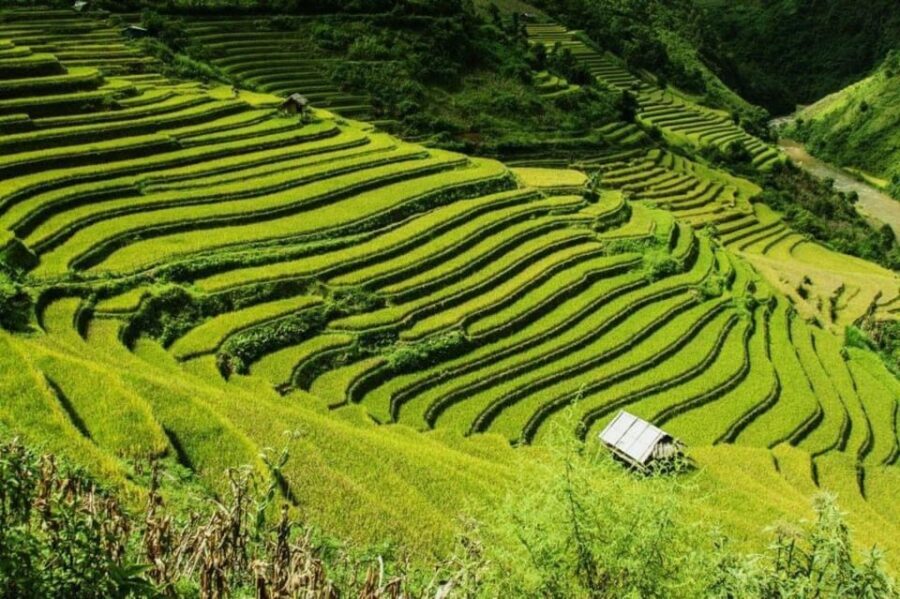 From Hanoi: 2-Days Sapa Trekking Tour Lao Chai and Cat Cat - Authenticity, Value, and Authentic Experiences