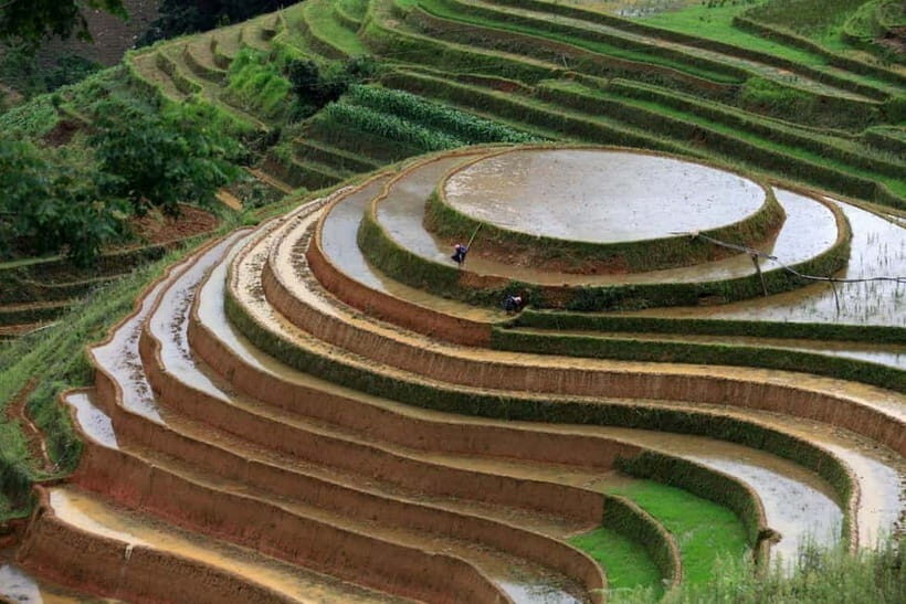From Hanoi: 3-Day Mu Cang Chai and Sapa Tour with Fansipan - Day 2: From Mu Cang Chai to Sapa