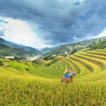 From Hanoi: 4-Day Mu Cang Chai Terraced Rice Fields Tour - What’s Included and What’s Not