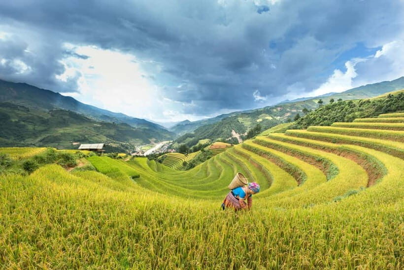 From Hanoi: 4-Day Mu Cang Chai Terraced Rice Fields Tour - What’s Included and What’s Not