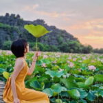 From Hanoi: Day Trip to Ninh Bình  The Colors of Nature - What Makes This Tour Stand Out?