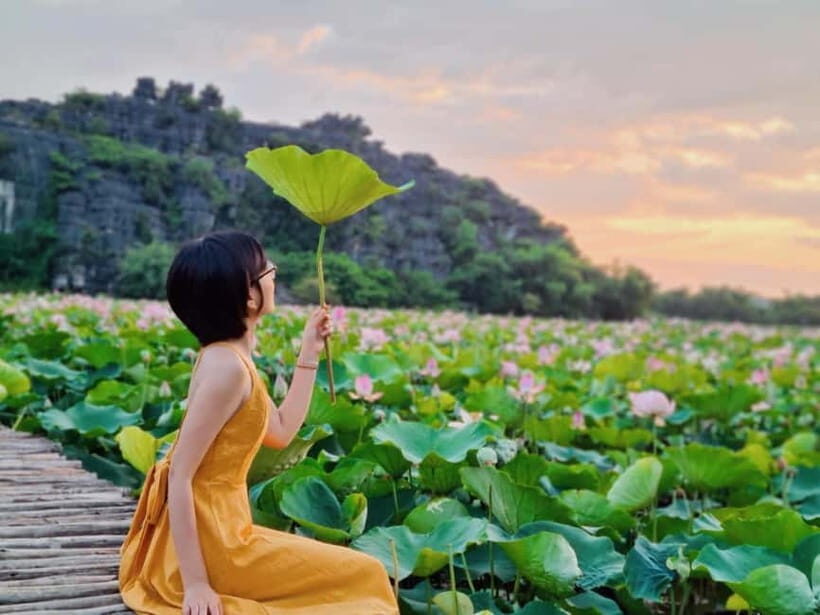 From Hanoi: Day Trip to Ninh Bình  The Colors of Nature - What Makes This Tour Stand Out?