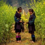 From Hanoi: Explore Sapa & Fansipan For 2 Days 1 Nights - Conquering Fansipan: The Highest Peak in Indochina
