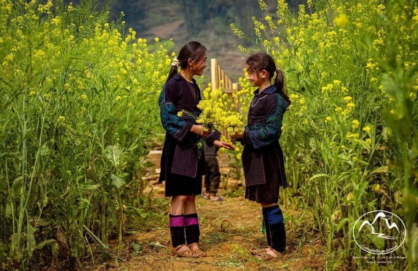 From Hanoi: Explore Sapa & Fansipan For 2 Days 1 Nights - Conquering Fansipan: The Highest Peak in Indochina