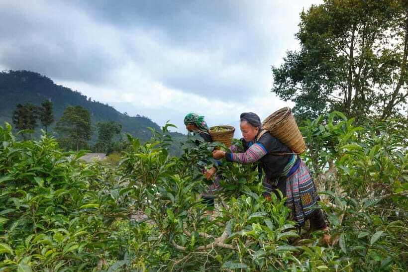 From Hanoi: Moc Chau 3-Day Guided Tour - The Itinerary Breakdown