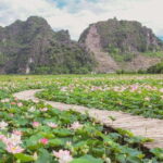 From Hanoi Ninh Binh Trang An, Hoa Lu Capital, Mua Cave Tour - The Ninh Binh Experience: What to Expect