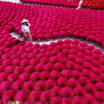 From Hanoi: Perfume Pagoda & Incense Village Photo Day Trip - Who Would Love This Tour?