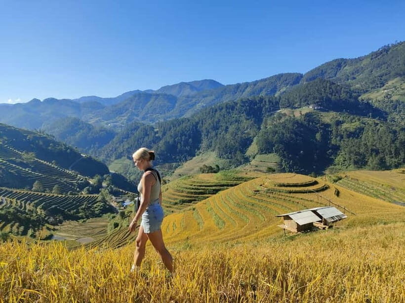 From Hanoi: Private 2-Day Mu Cang Chai Homestay & Trekking - Who Should Consider This Tour?