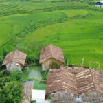From Hanoi: Sapa Discovery Package Tour 2 Days 1 Night - Authentic Experiences and What Travelers Say