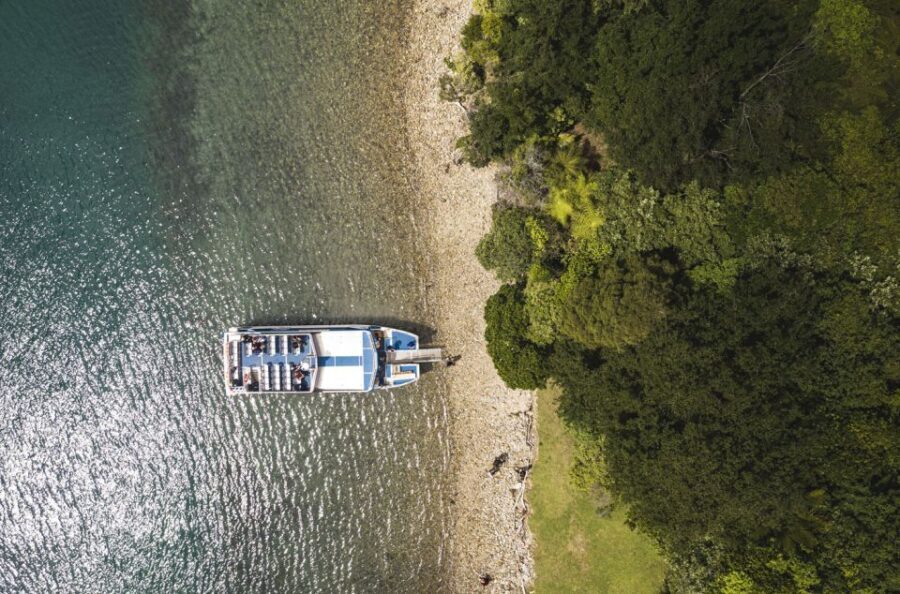 From Havelock: Marlborough Sounds Mail Boat Full-Day Cruise - The Guides and Their Stories