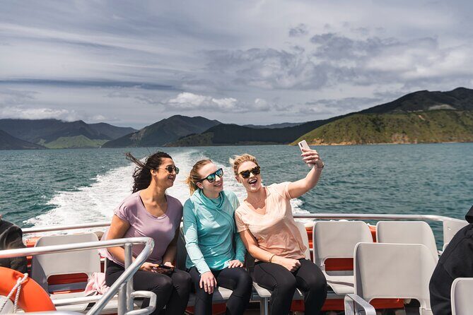 From Havelock to Marlborough Sounds Postie's Day Off Cruise - The Sum Up