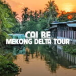 From Ho Chi Minh: Cai Be Mekong Delta Full-Day Group Tour - What Makes This Tour Stand Out?