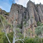From Hobart: Mt Wellington Morning Walking Tour - What Makes This Tour Stand Out