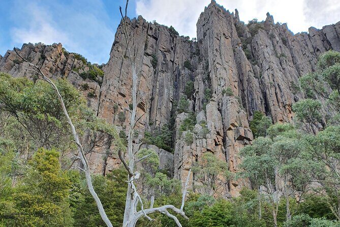 From Hobart: Mt Wellington Morning Walking Tour - What Makes This Tour Stand Out