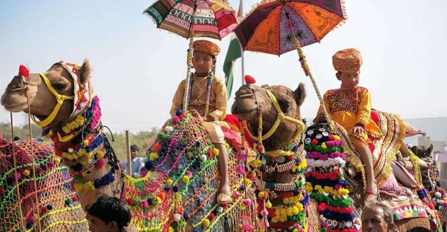 From Jaipur: One-Day Trip From Jaipur to Pushkar - Who This Tour Is Best For