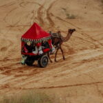 From Jaipur : Private Ajmer Pushkar Tour by Cab - What Makes This Tour a Good Value?