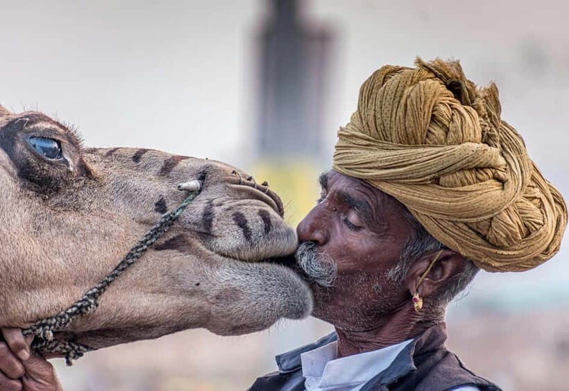 From Jaipur: Pushkar and Ajmer Private Day Trip - Exploring Ajmer