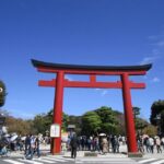 From Kamakura: Daibutsu Hiking Trail Tour with Local Guide - The Itinerary: What to Expect