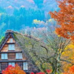 From Kanazawa/Takayama :Day Tour To Shirakawago & Takayama - Who Is This Tour Best For?