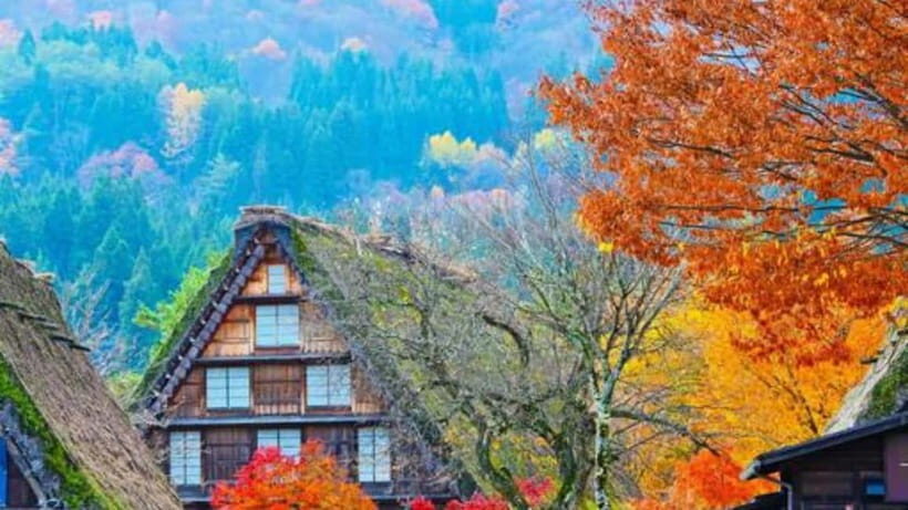 From Kanazawa/Takayama :Day Tour To Shirakawago & Takayama - Who Is This Tour Best For?