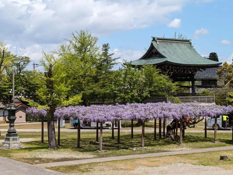 From Kanazawa: Tonami Tulip Festival and UNESCO Gokayama - Who Would Love This Tour?