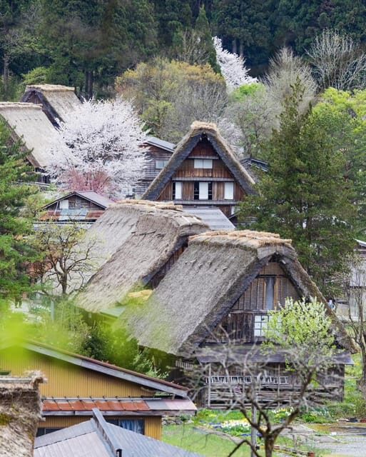From Kanazawa/Toyama: Shirakawago and Takayama Day Tour - Hida no Sato: Walking Through Japan’s Architectural Past