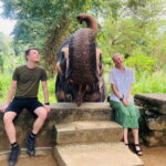 From Kandy : Pinnawala Elephant Orphanage & Ambuluwawa Tower - Final Thoughts