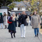 From Kobe & Himeji: Katana Making and Kurashiki Guided Tour - Who Will Enjoy This Tour Most?