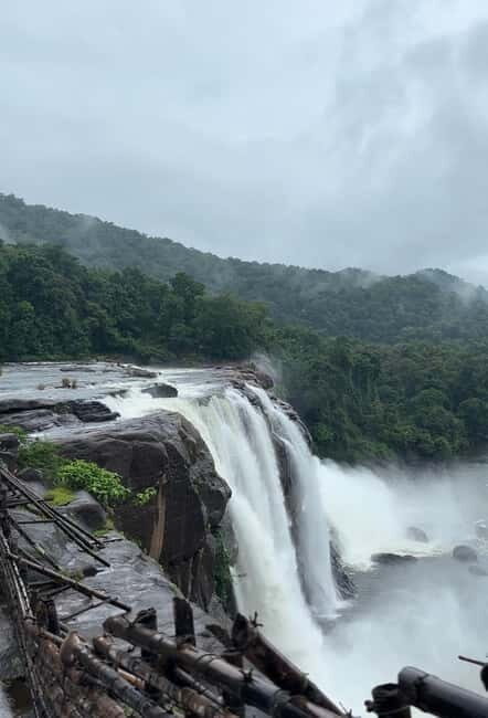 From Kochi: Athirappilly Waterfalls Day Trip with Transfers - Authentic Experiences and Guest Perspectives