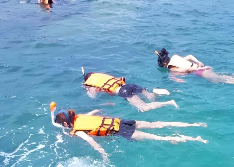 From Koh Samui: Pink Dolphin Boat Tour to Khanom with Lunch - Detailed Breakdown of the Itinerary