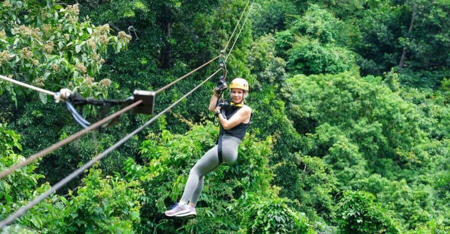 From Koh Samui: Tree Bridge Zipline and Café Experience - What Makes This Experience Stand Out?