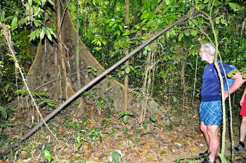 From Krabi: 1-Day Khao Sok & 2-Day Cheow Lan Lake Safari - What Makes This Tour Stand Out