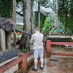 From Kuala Lumpur: Kuala Gandah & Batu Caves Day Trip - An In-Depth Look at the Kuala Gandah & Batu Caves Day Trip