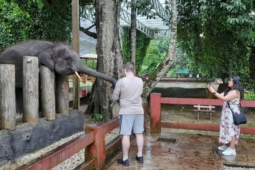 From Kuala Lumpur: Kuala Gandah & Batu Caves Day Trip - An In-Depth Look at the Kuala Gandah & Batu Caves Day Trip