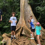 From Kuala Lumpur: Taman Negara National Park Private Tour - What’s Included and What to Bring