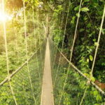 From Kuala Lumpur: Taman Negara Private Tour - Who Will Love This Tour?