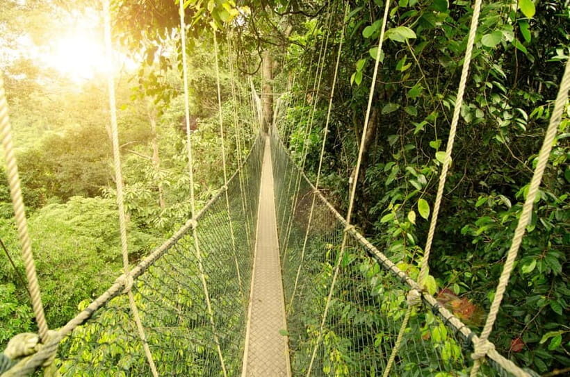 From Kuala Lumpur: Taman Negara Private Tour - Who Will Love This Tour?